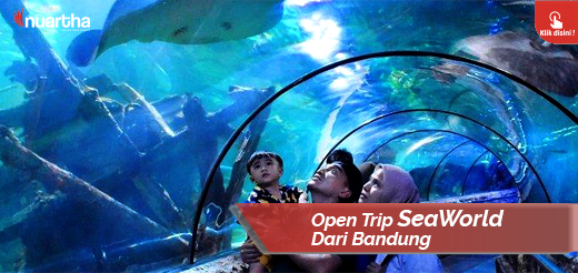 Paket Wisata SeaWorld + ODS dari Bandung/ Purwakarta - Nuartha Tours